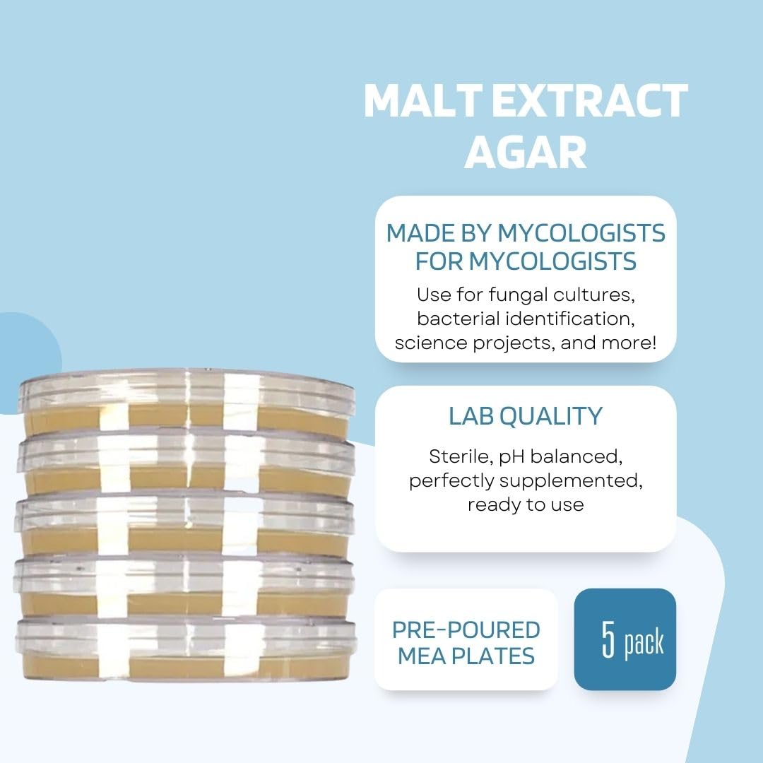 Basement Culture | Premium Light Malt Extract and Peptone Agar Plates - Set of 5, Sterile, Easy-to-Use, Ideal for Microbiology, and Long Shelf Life