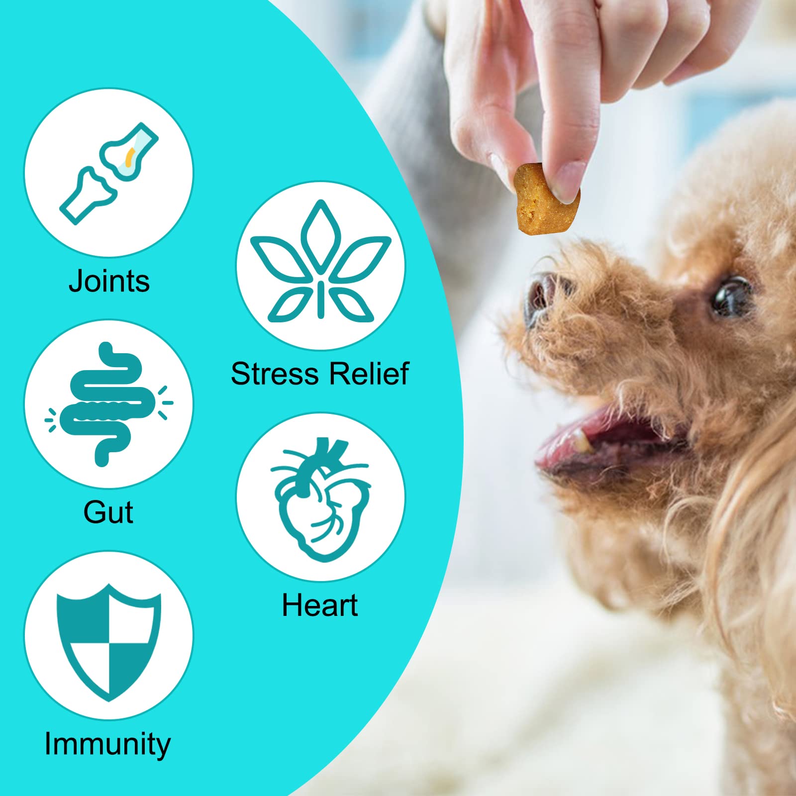 Bieyoc Calming Chews for Dogs - Natural Stress and Anxiety Relief, 150 Soft Dog Calming Chews Help Dog Anxiety Relief. (Peking Duck)