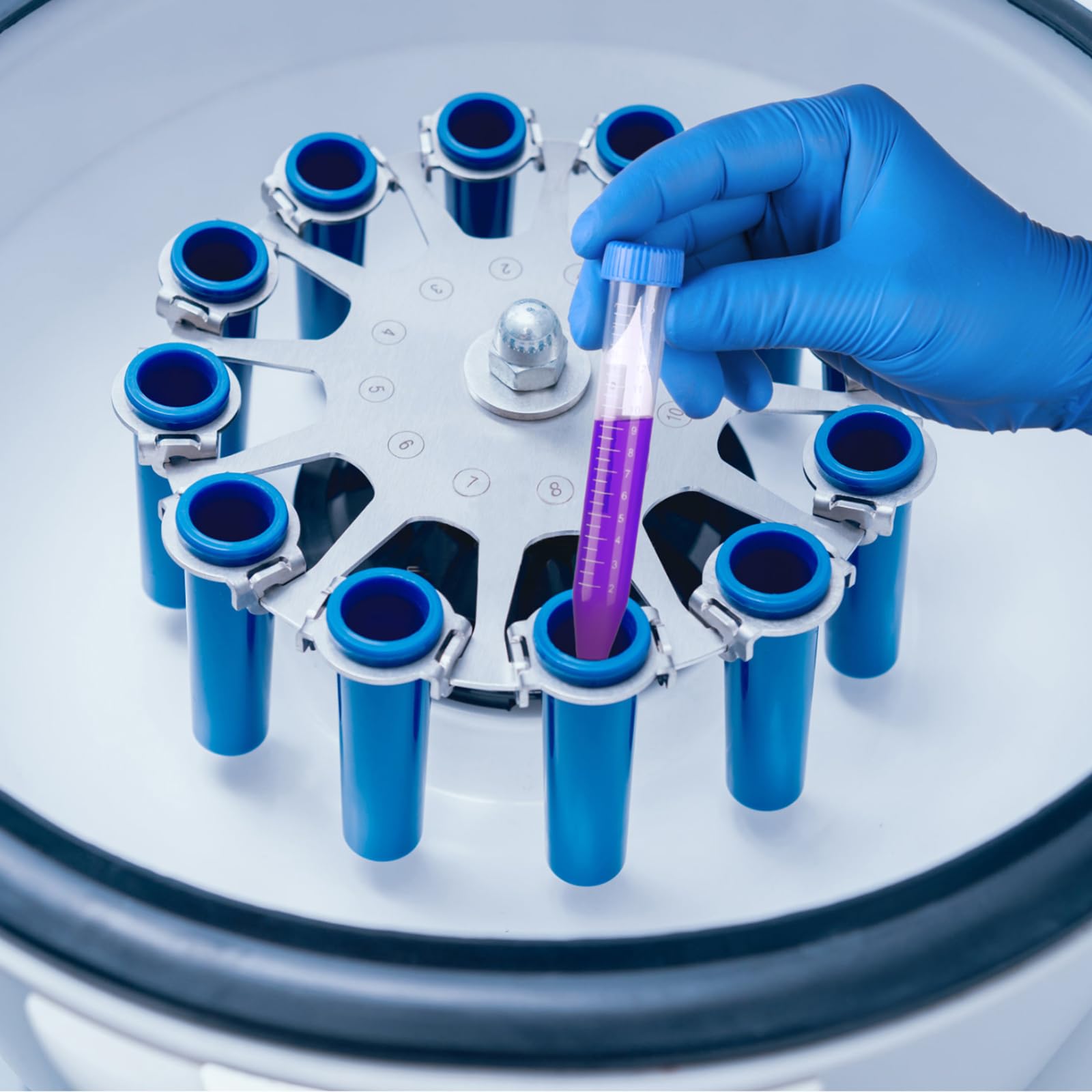 BIPEE Centrifuge Tubes, 15mL lab tubes, test tubes with caps, Plastic Container for plant tissue culture kit,coffee tubes