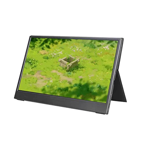 BDT 13.3 -inch Thin IPS High -Definition Mobile Phone Front -line Computer Same Screen Sub -Screen Portable Portal Full HD 1920 * 1080p (Color : with Touch)
