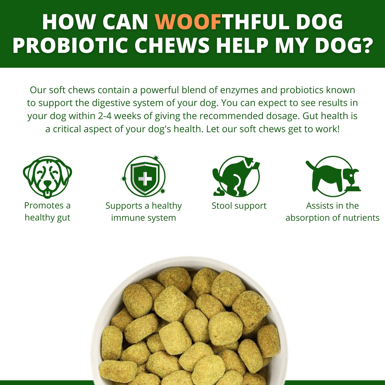 Probiotics for Dogs - Digestive Health, Gut Flora, Bowel Support, Immune System Support - Soft Chews Supplement for Dogs 120 ct, Made in USA