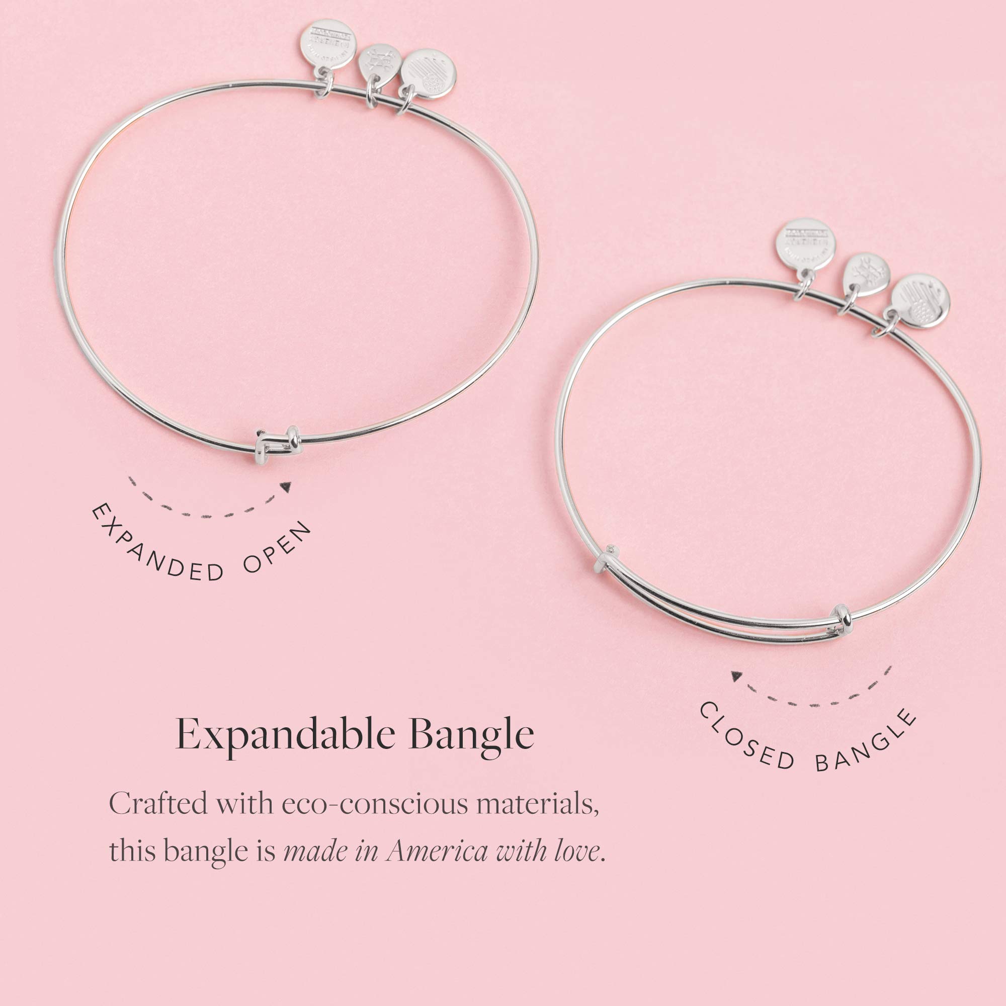 Alex and Ani Iris Sentimental Slider Charm Bangle Bracelet - Shiny Silver Finish - 2 to 3.5 in