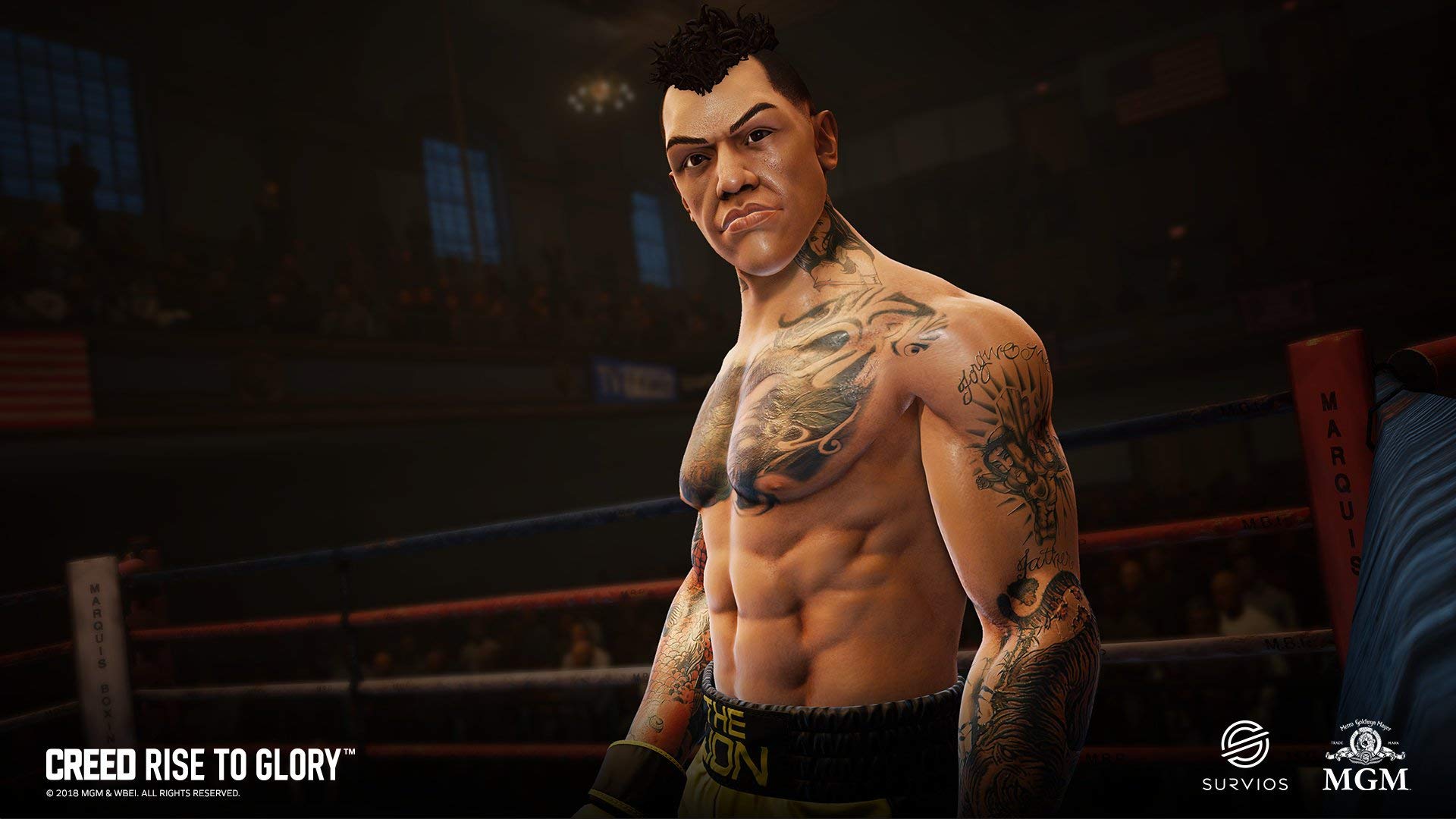 Creed: Rise to Glory PSVR (PS4) UK IMPORT