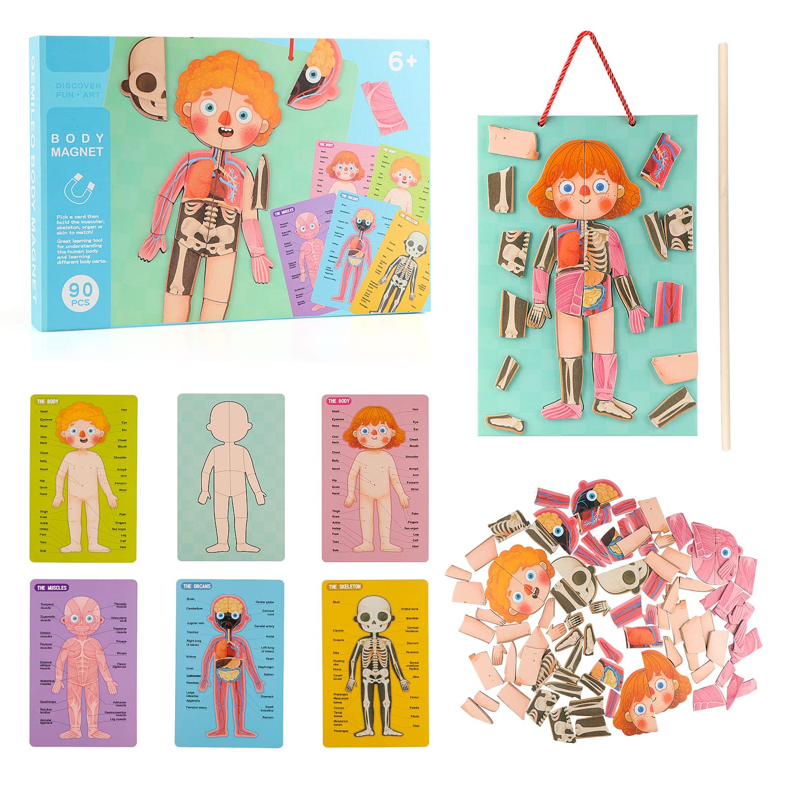 FOPNETS Wooden Human Body Puzzle for Kids Toddlers 90 Piece Magnetic Anatomy Body Puzzles to Learn Body Parts Organs Muscles and Bones Educational Learning Preschool Toys for Kids Aged 3+