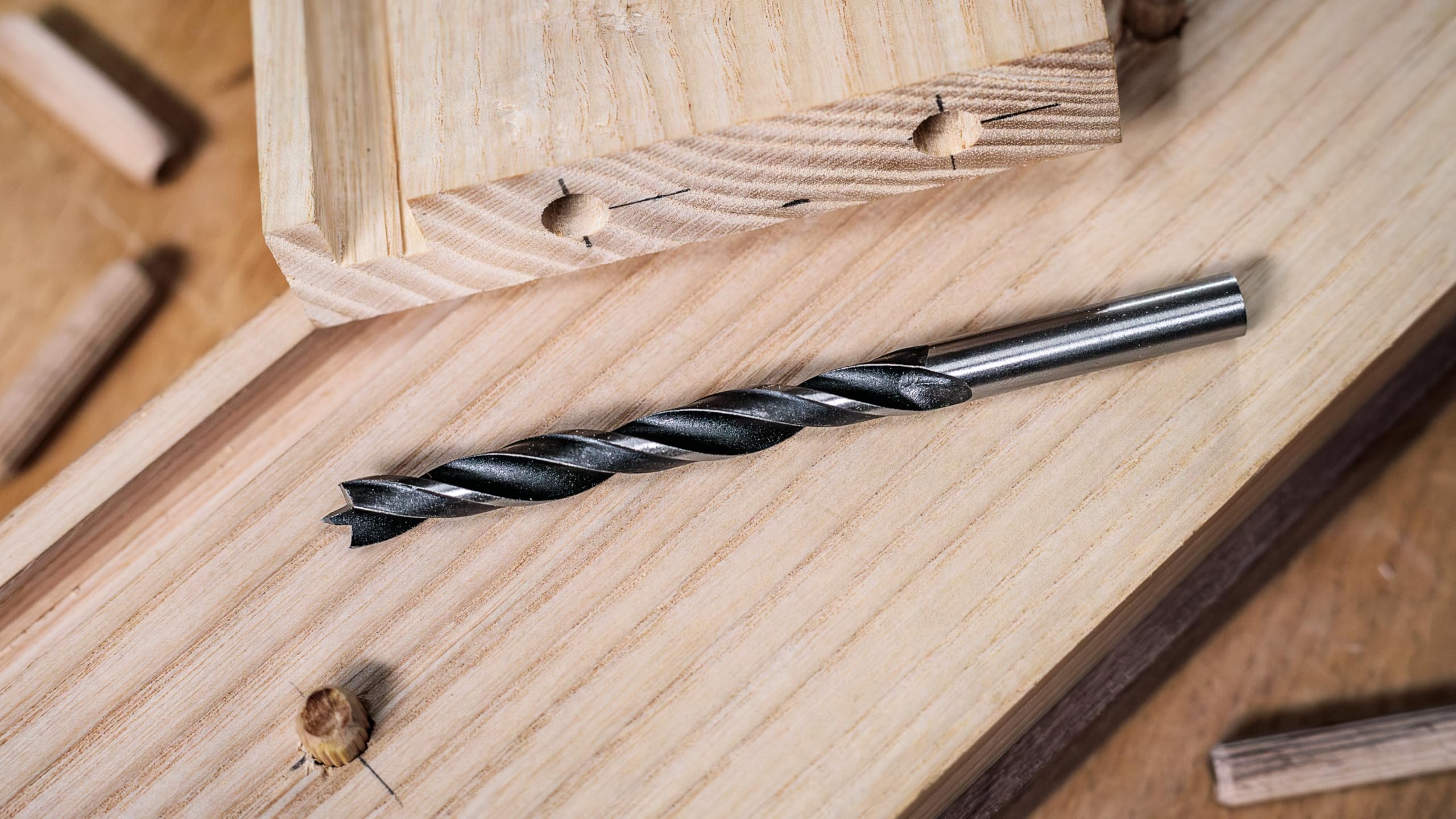Bosch Professional Brad Point Drill Bit (for Wood, Ø 20 x 135 x 200 mm, Accessories Rotary Drills)