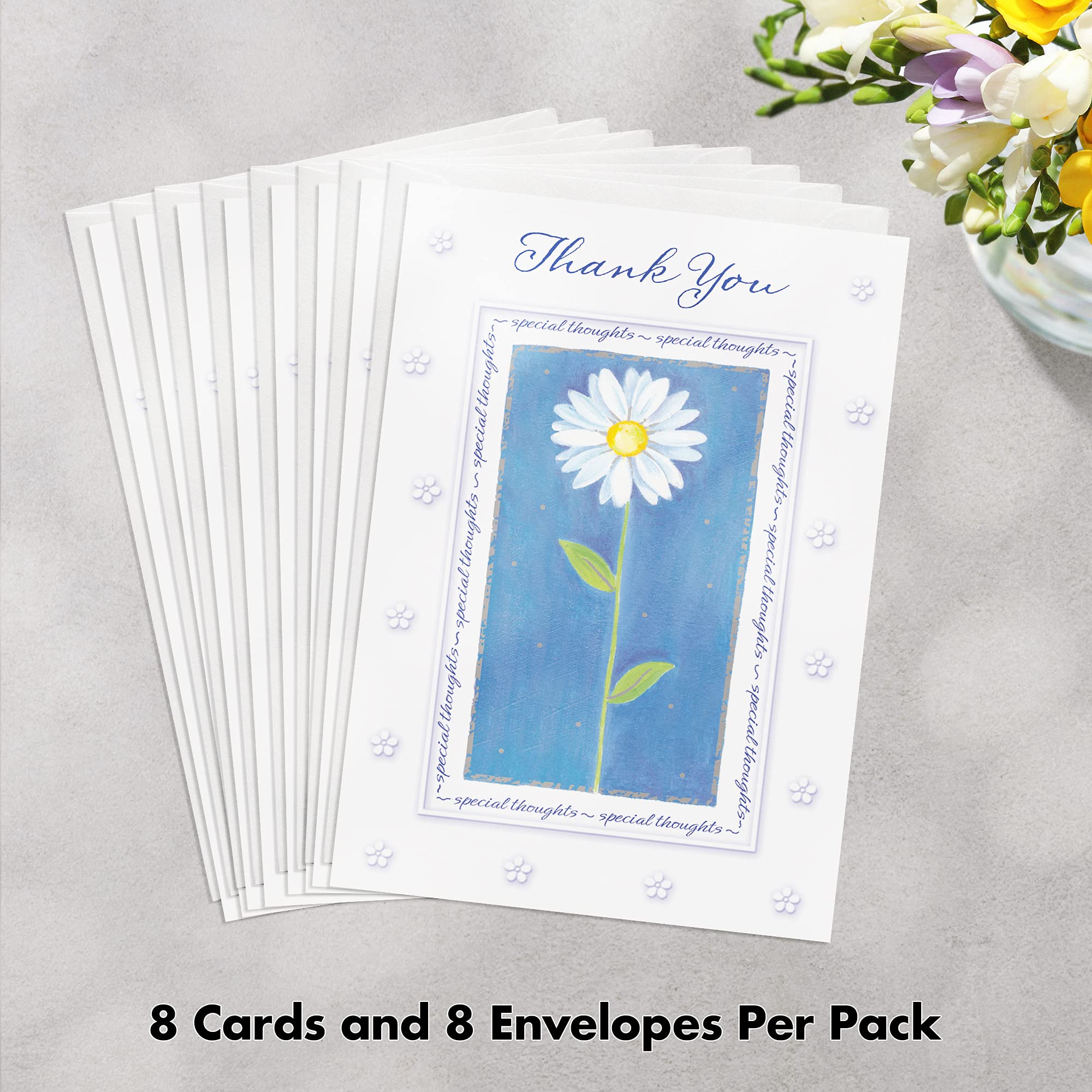 Designer Greetings Thank You Cards, Special Thoughts Meant So Much Message for Any Occasion (8 Daisy Thank-You Notes and Envelopes)