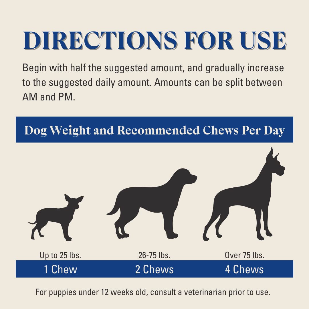 Soft Chew Multivitamin for Dogs - Longevity Focus | Overall Wellness, Healthy Immune and Cardiovascular System for Dogs | OTIS Healthy Dog Treats | 90 Counts, 9.52 oz.
