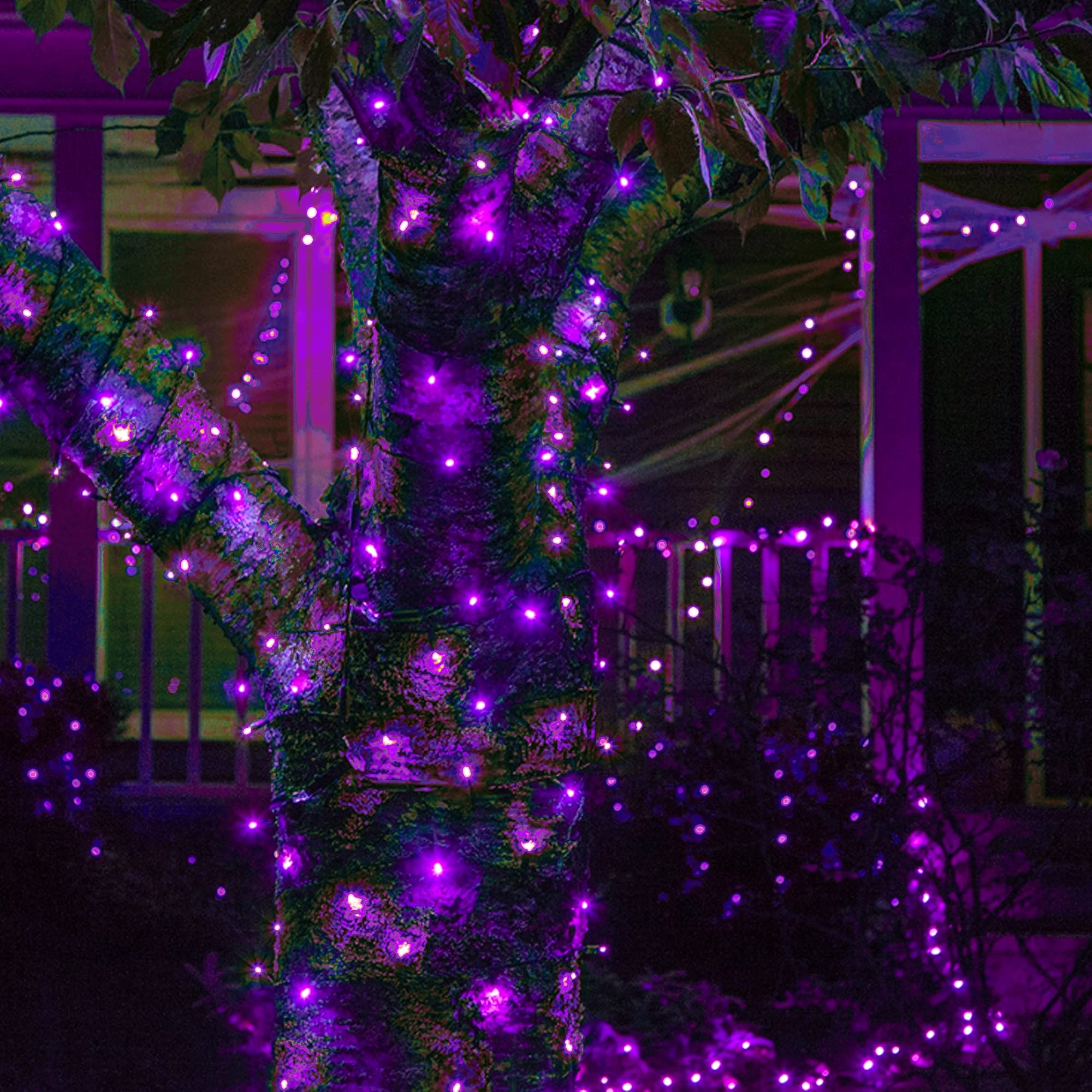FUNPENY Halloween Clear Mini String Lights, Total 32FT 100LED Battery Operated Waterproof Fairy Lights with 8 Lighting Modes, Halloween Decorations for Indoor Outdoor Garden Party(Purple,2 Pack)