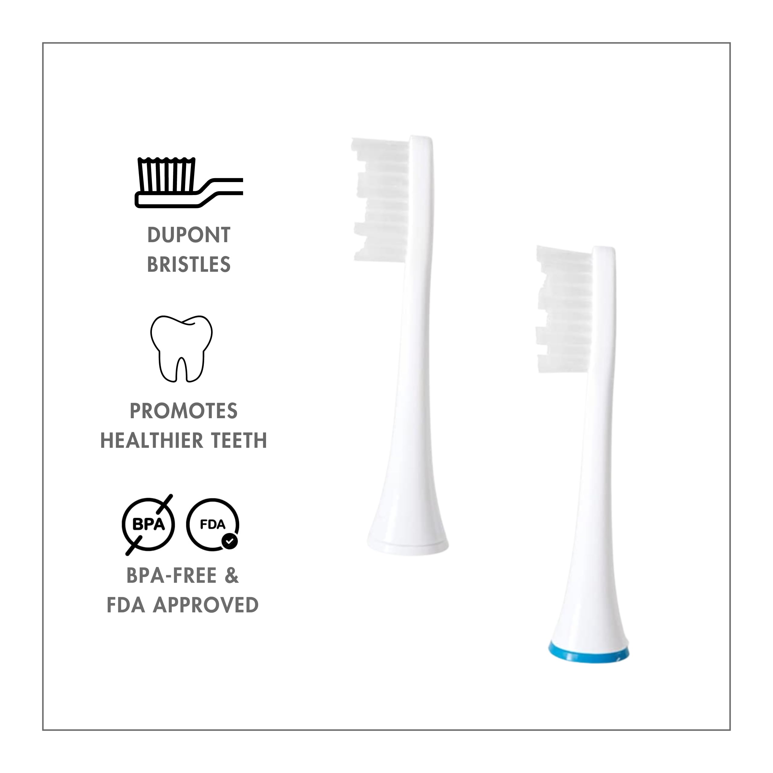 ToiletTree Products Poseidon Replacement Brush Heads for Poseidon Rechargeable Sonic Toothbrush, 2 Pack