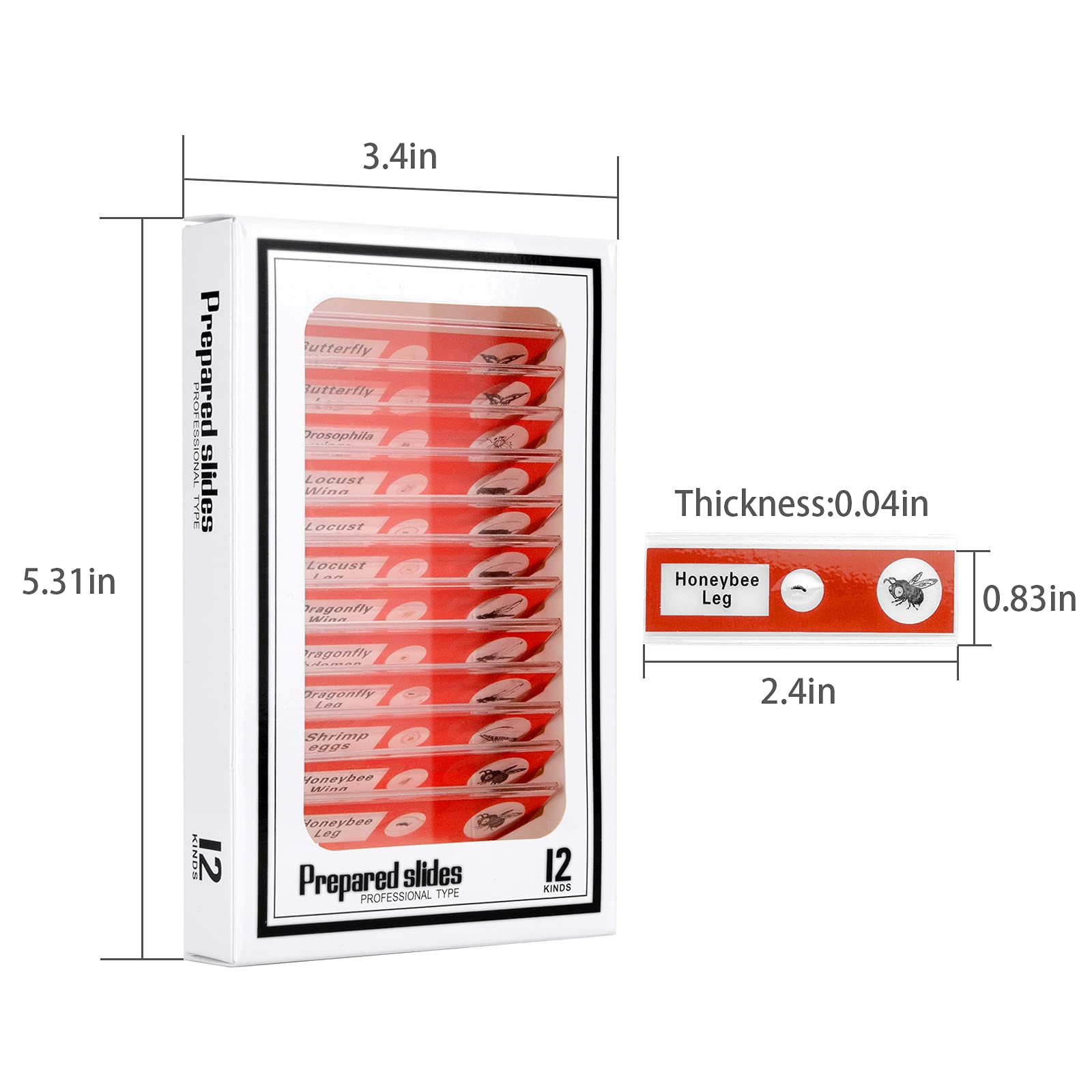 Microscope Sample Prepared Slides 48pc Kids Plastic Prepared Microscope Slides of Animals Insects Plants Flowers Sample Specimens for Stereo Kids Science Toy Educational Toy