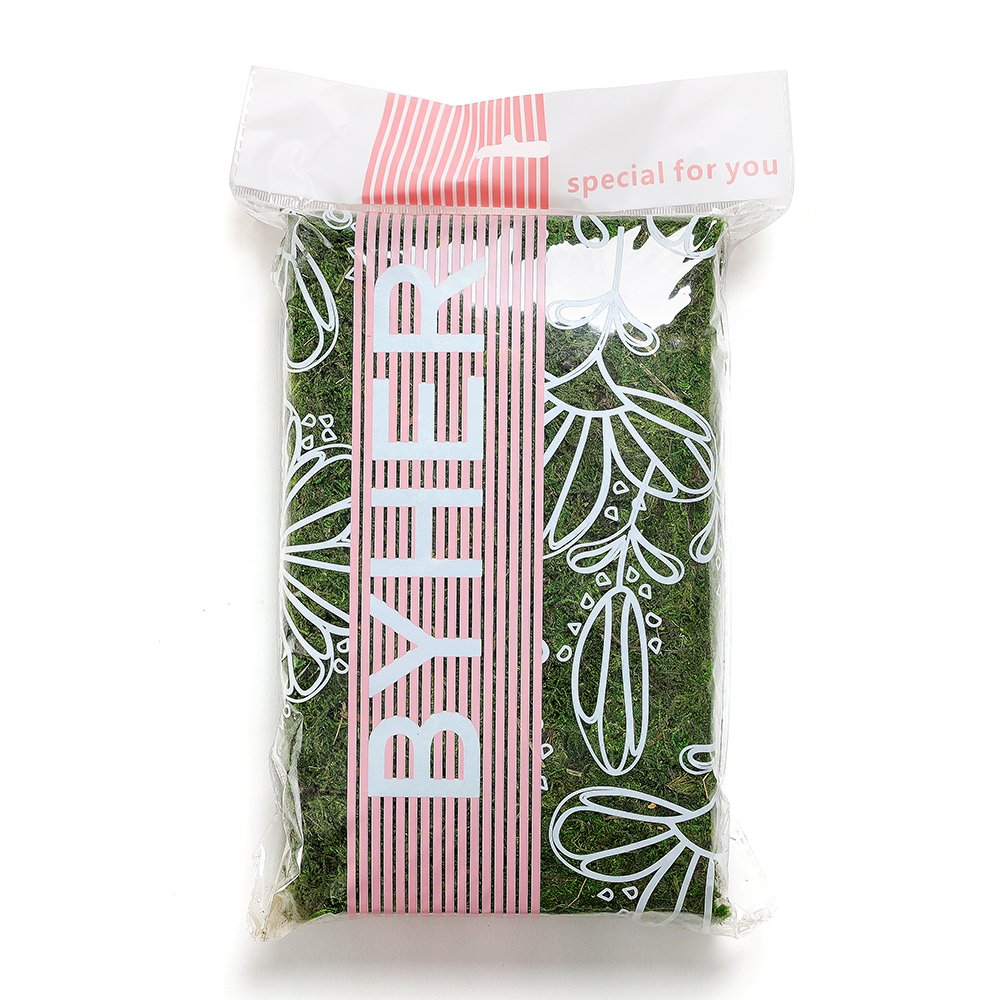 Byher 92926 Preserved Forest Moss, Fresh Green (2OZ)