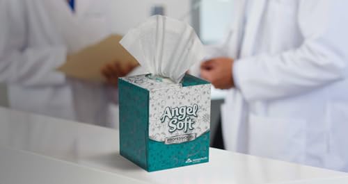 Georgia-Pacific Angel Soft Professional Series 2-Ply Facial Tissue, 30 Flat Boxes, 100 Sheets Per Box (48580)