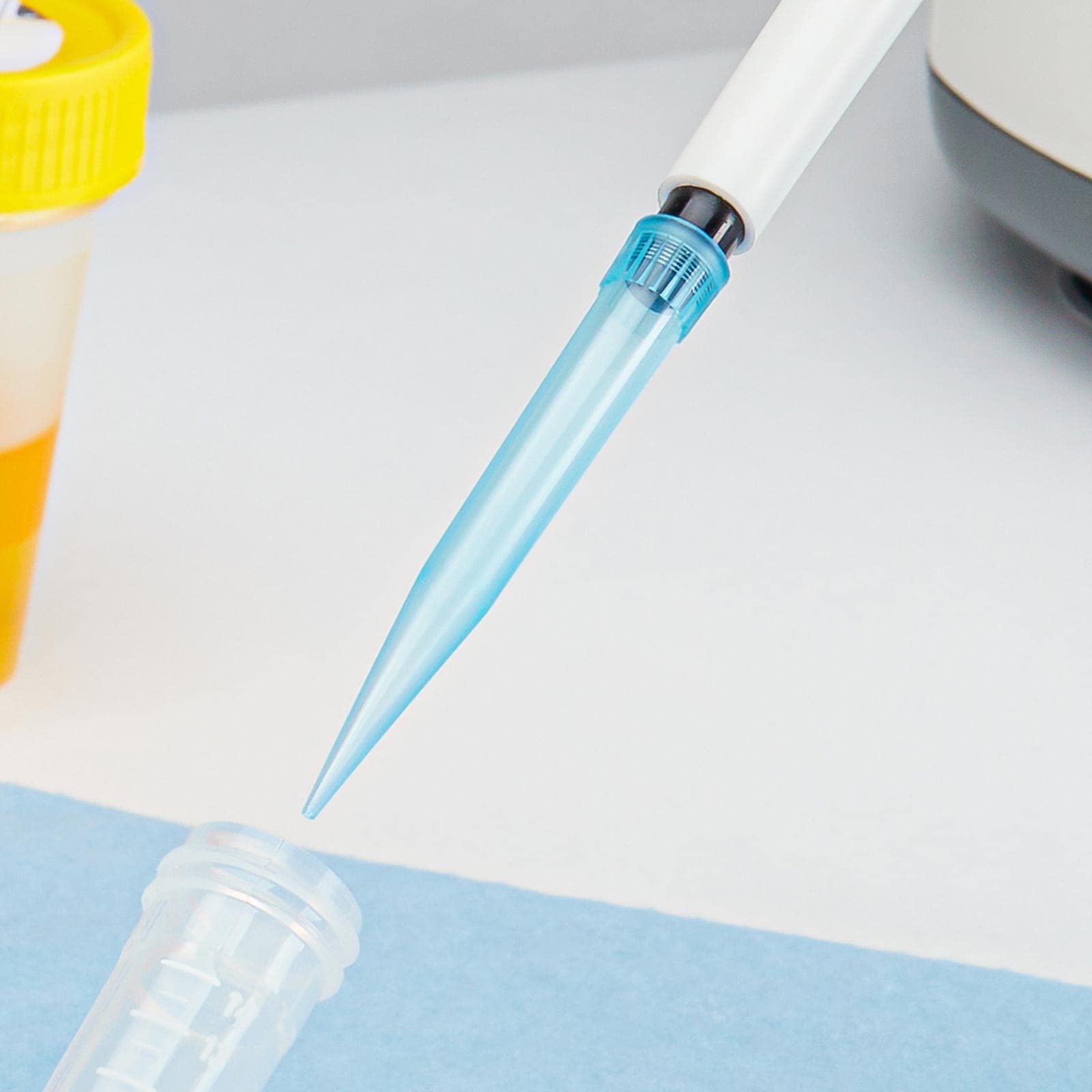 Globe Scientific 151146 Polypropylene Pipette Tip, Blue, 100 - 1000µL, Universal, Pack of 1000