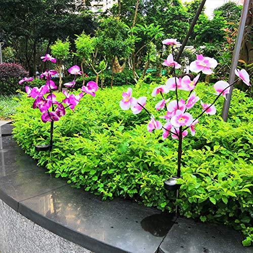 Crisist Solar Pathway Light, Beautiful Elegant Solar Power 2Pcs/Set Garden Light, for Home Outdoor
