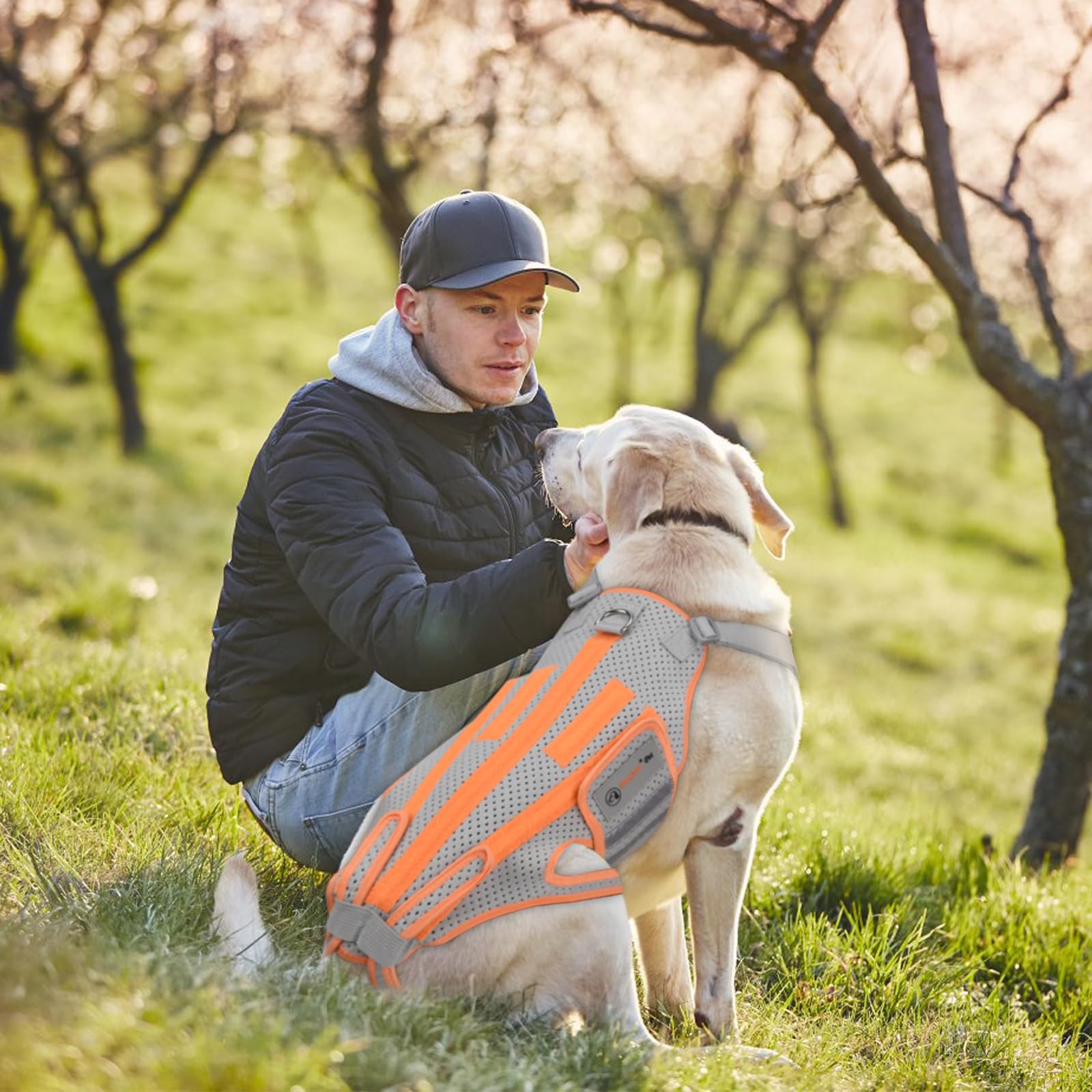 BaoGuai Dog Back Brace for Arthritis, Dog Hip Brace for IVDD, Frame Support Harness for Back,Keeps The Back Stable and Reduces Movements and Pains (XL)
