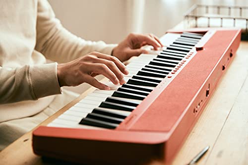 Casio Casiotone CT-S1 61-Key Portable Digital Keyboard - Red Bundle with Adjustable Stand, Bench, Headphones, Sustain Pedal, Instructional Book, Instructional DVD, and Austin Bazaar Polishing Cloth