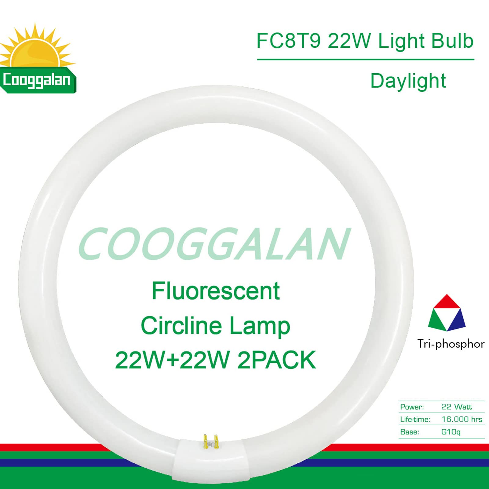 COOGGALAN 8 inch T9 22 Watts Round Light Bulbs FC8T9/DX Circular Fluorescent Light Bulb, FC8T9/DL 22W Circline Bulb, Daylight 6400K, G10q 4 Pin Prong Base, 2 Pack