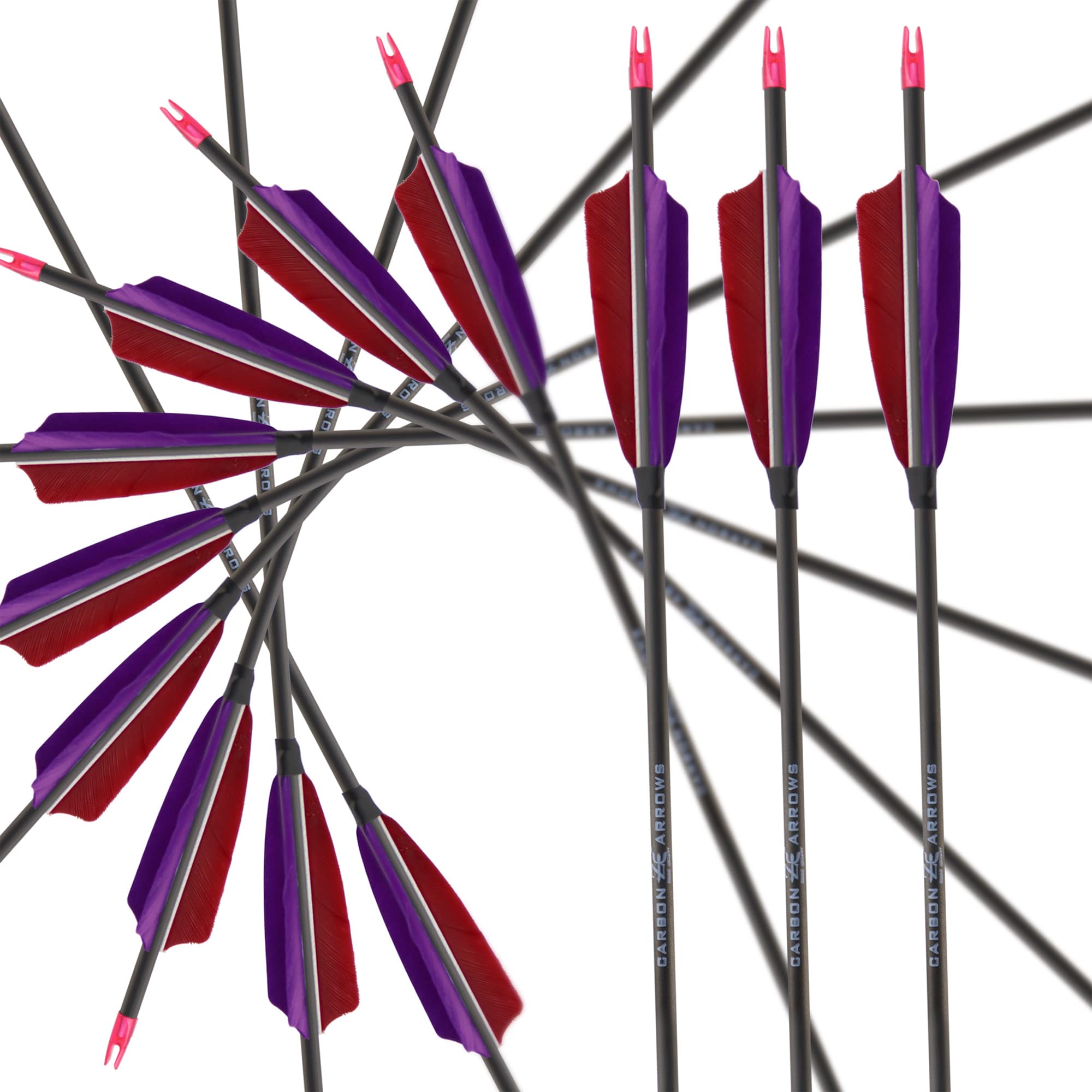 Archery Carbon Arrow 31 inch 600 Spine Pure Carbon with 100 Grain Screw Tips, Hunting Arrows for Compound & Recurve Bow 12PCS