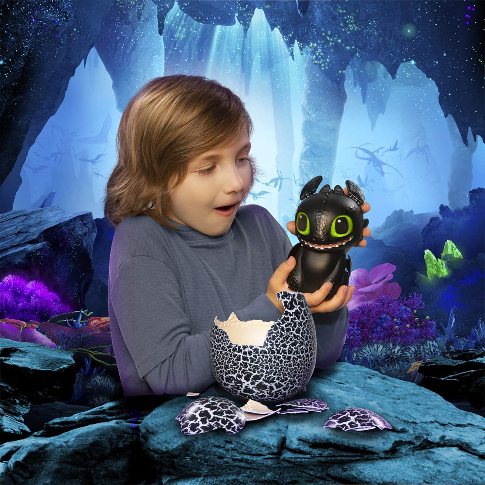Dreamworks Dragons New and Exclusive at Walmart, Hatching Toothless Interactive Baby Dragon and Bonus Downloadable Episodes