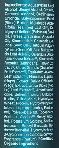 JASON Tea Tree Normalizing Conditioner, 8 Ounce Bottle (Pack of 3)
