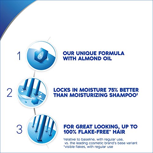 Head and Shoulders Shampoo Dry Scalp 2-In-1 13.5 Ounce (400ml) (Pack of 1)