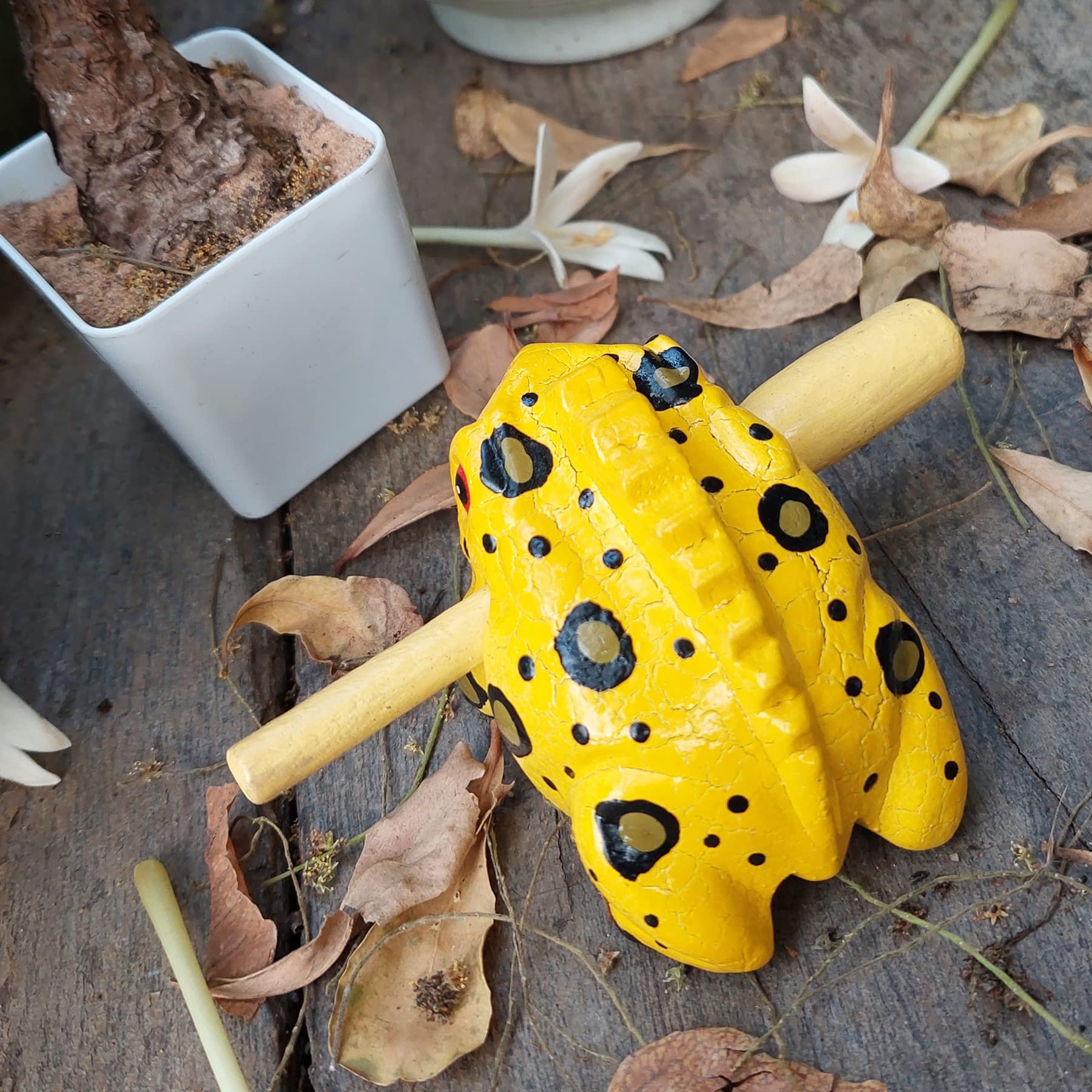 Cozinest 3" Wooden Frog Guiro Rasp Percussion Instruments Tone Block Thailand Craft Wood Frog Musical Instrument Adorable Gift (Yellow Dots)