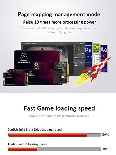 KingShark SSD M.2 2280 250GB Internal Ngff Soild State Drive SSD 80MM High Performance Hard Disk (250GB, M.2 2280)