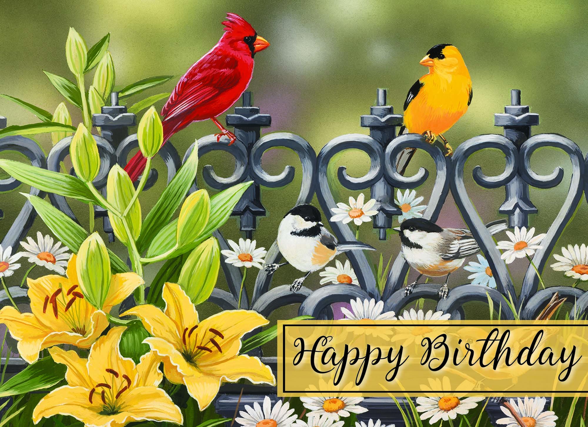 Crown Point Graphics Shared Blessings Birthday Birds 12 Boxed Birthday Cards, Beautiful Birds with KJV Scripture, Art by William Vanderdasson