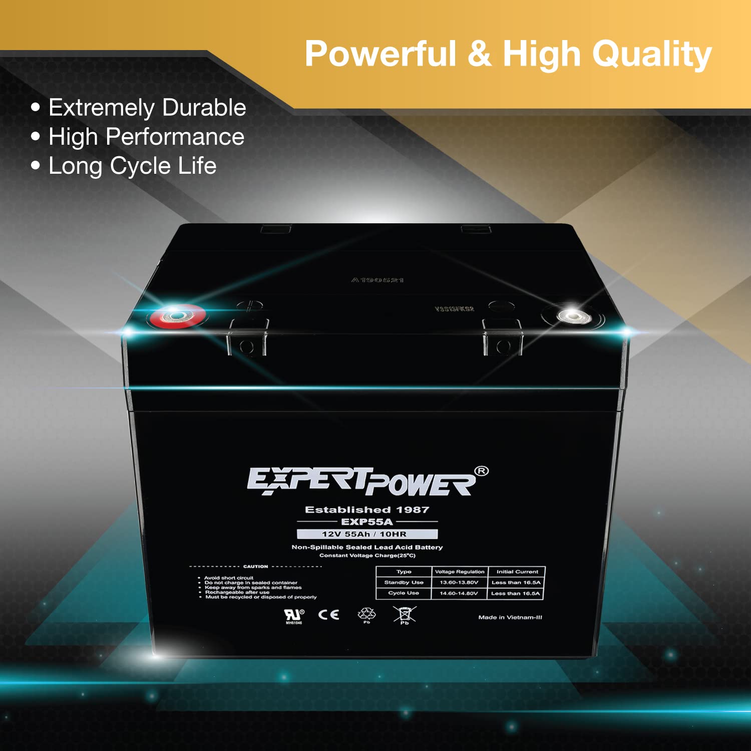 ExpertPower 12 Volt 55 Amp Deep Cycle Sealed Lead Acid Wheelchair Medical Mobility Rechargeable Battery [EXP12500]