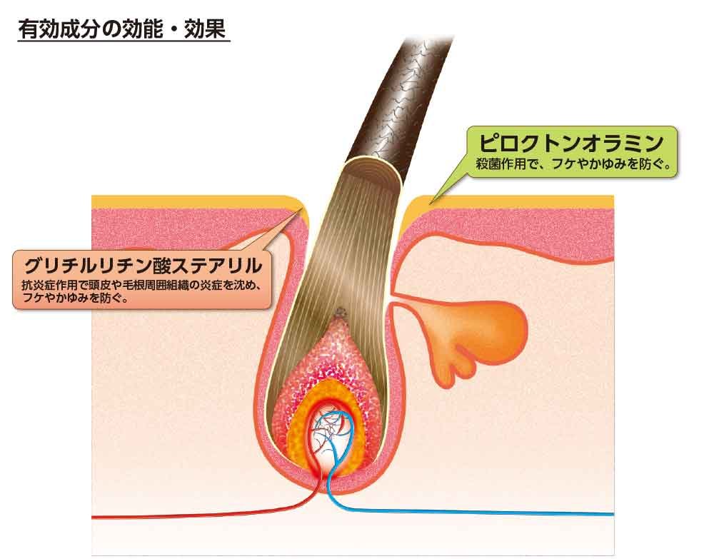 KAMINOMOTO | Hair Care Lotion Moisturizing | Hair Conditoner B&P 300ml