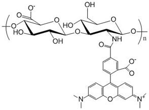 Hyaluronate-Rhodamine, MW 2,500kDa (50mg)