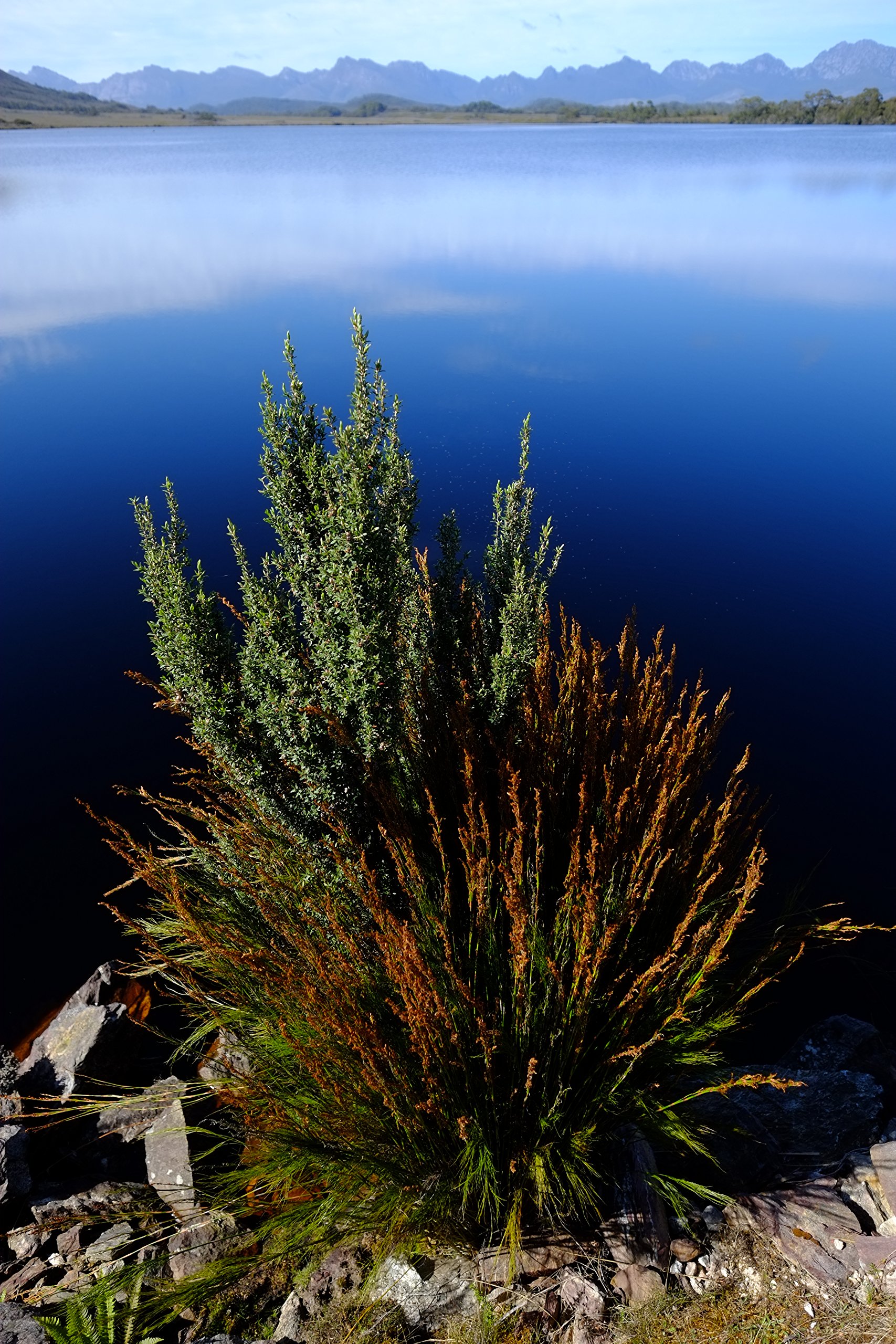 Fujinon XF14mmF2.8 R (Renewed)