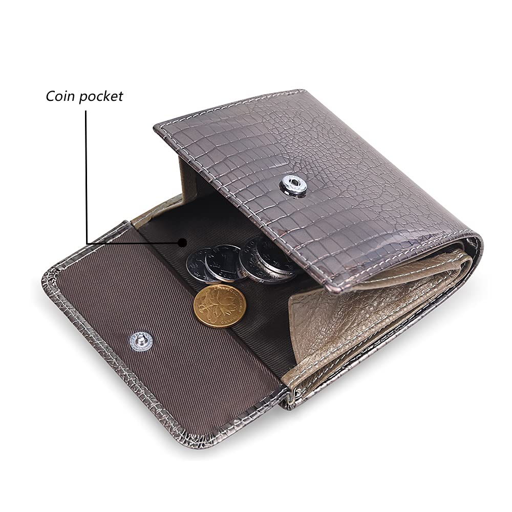 Dicihaya Women Small Compact Bifold Genuine Leather Wallet Ladies Mini Purse with ID Window Coin Pocket (Silver)
