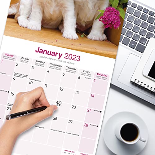 Cavalier King Charles Spaniel Calendar - Dog Breed Calendars - 2022 - 2023 wall calendars - 16 Month by Avonside