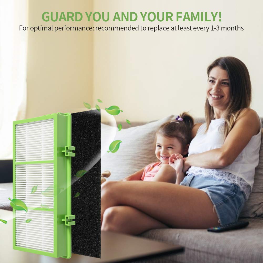 Gazeer True HEPA Replacement Filters for Holmes Aer1 Series Total Air Filter for HAPF300AH-U4R and HAP242-NUC(6 Pcs HEPA Filters + 8 Pcs Pre Filters)
