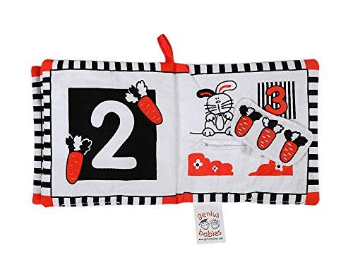 Genius Baby Toys | Brilliant Beginnings Infant Toys Gift Set and Bundle, 6 ct Includes Teether, Rattle, Jingle Ball, Rattle Booties, Cloth Book and Flashcards