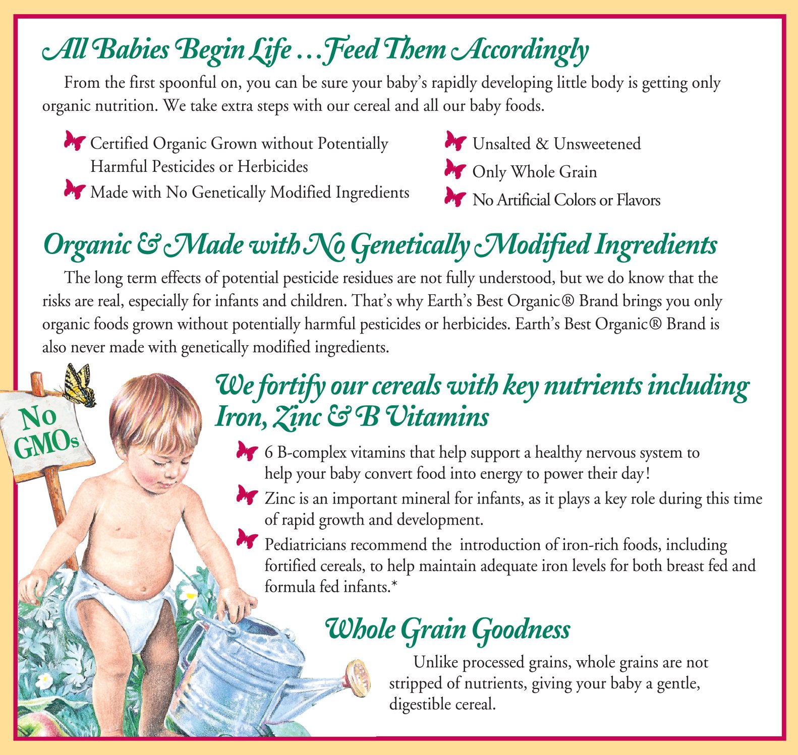 Earth's Best Organic Infant Cereal, Whole Grain Rice, 8 oz. Box