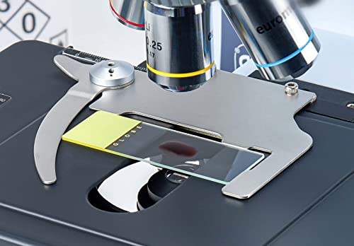 Globe Scientific 1324Y Glass Microscope Slide, 25 x 75mm Size, Ground Edges with Safety Corners, Yellow Frosted (1,440 slides)