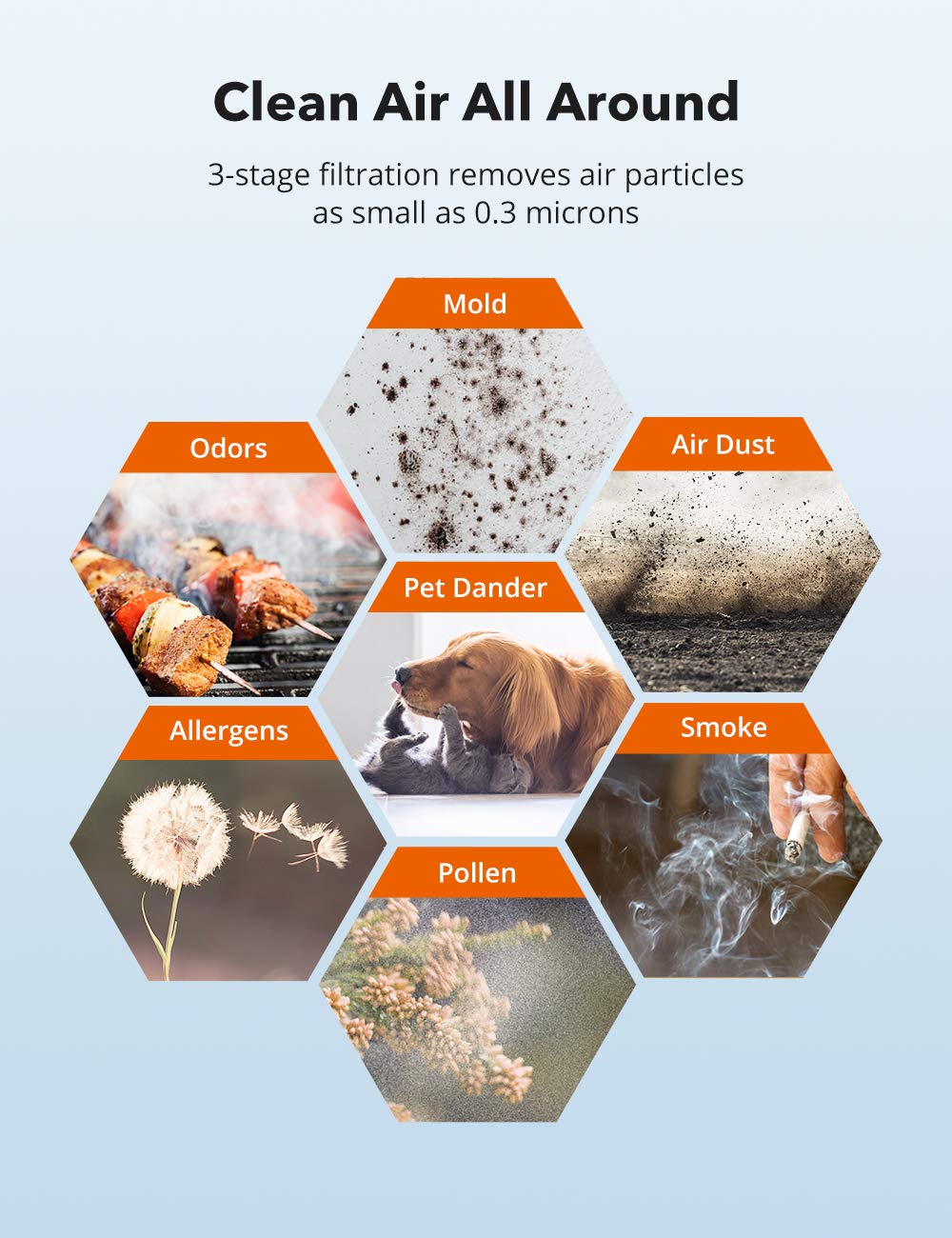 HEPA H13 Air Purifier for Home, Allergies Smoke Pollen Pets, Home Air Cleaner Filtration System, Odors Dust, Sleep Mode Timer Auto Mode