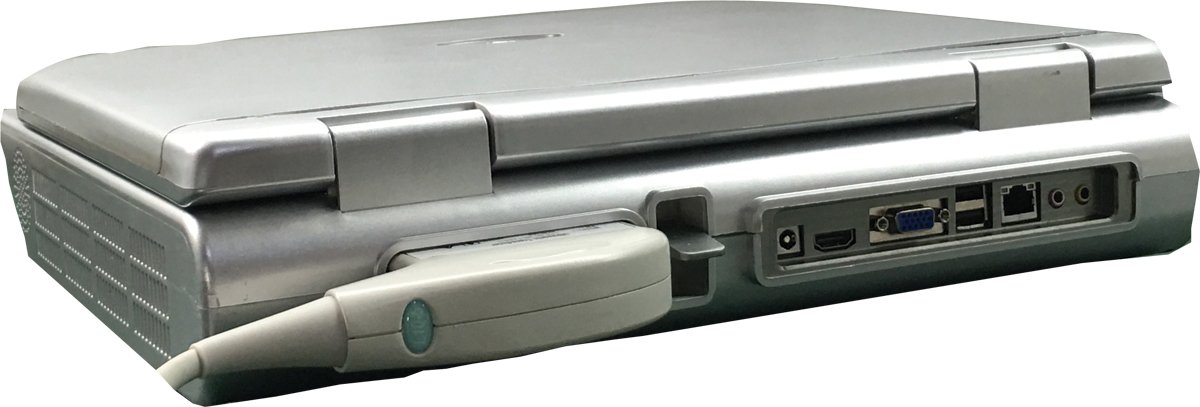 Easywell Portable Color Sonography Ultrasound Scanner EW-C15V with convex probe for veterinary abdominal and reproduction
