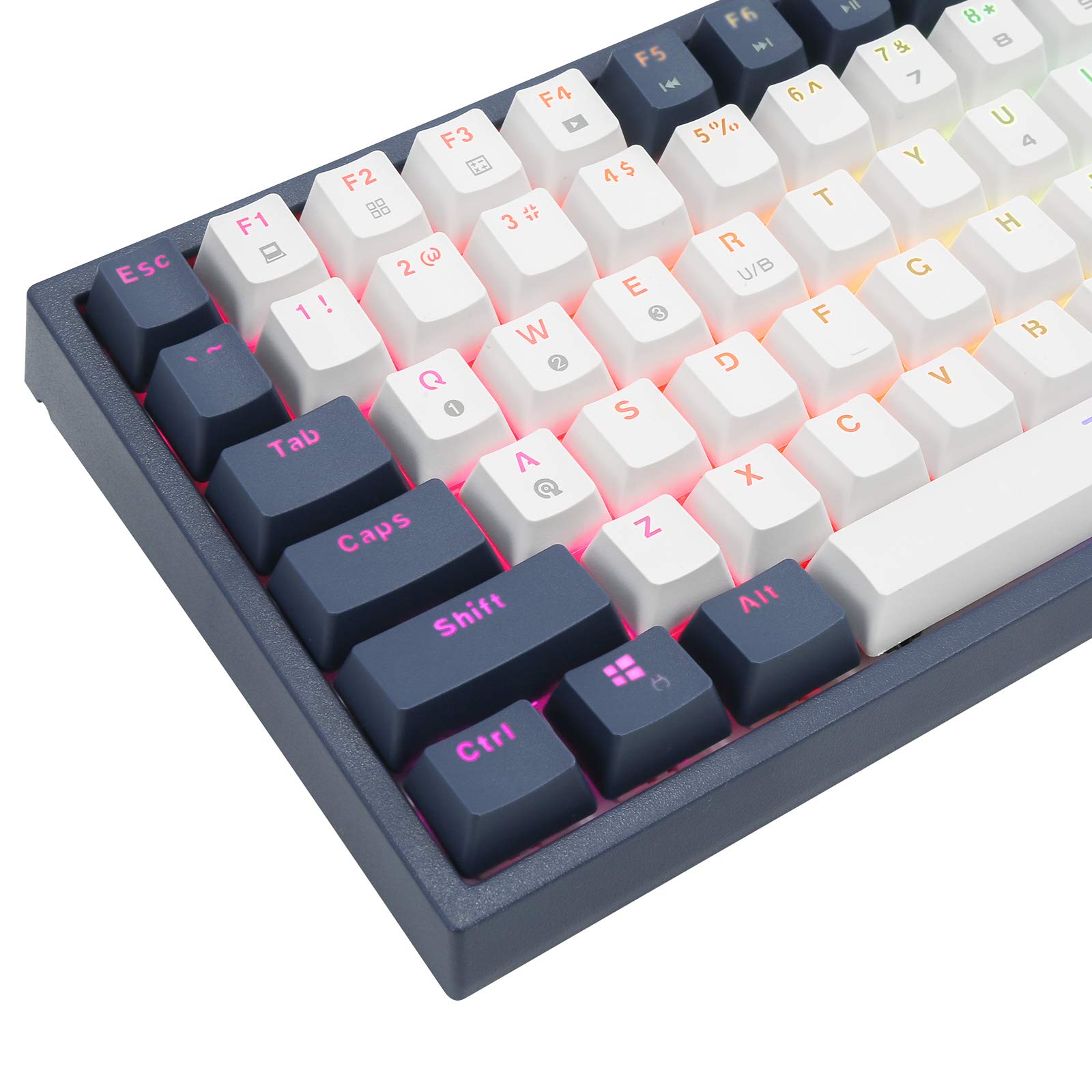 HUO JI CQ84 Wireless Mechanical Gaming Keyboard, Programmable RGB Backlit, Bluetooth, Red Switches, 84 Keys, Wired 60% Keyboard for iPad, iMac Android/Windows Tablet Laptop Desktop, White Blue