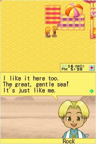 Harvest Moon DS Cute (Renewed)