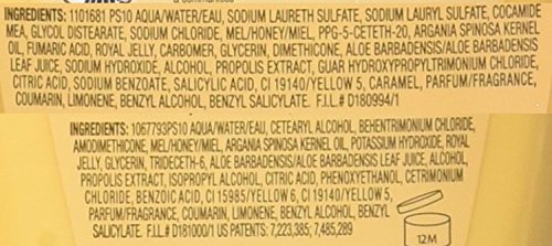 Garnier Whole Blends Honey Treasures Shampoo and Conditioner 12.5 Ounces each