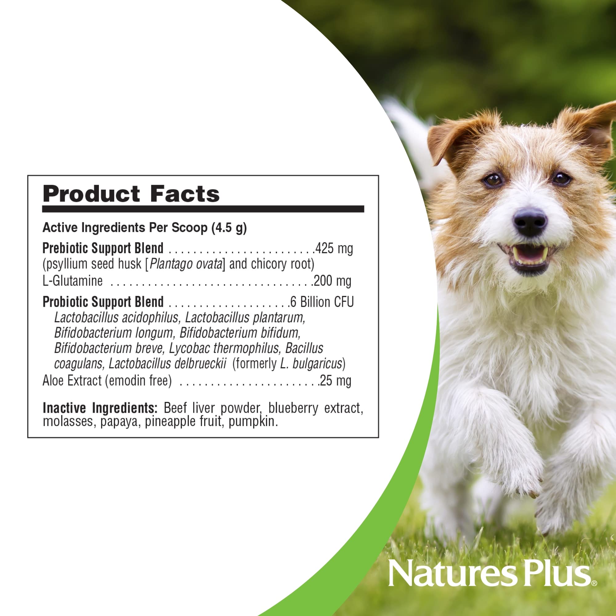 Natures Plus FurBaby Probiotic for Dogs - 9.5 oz - Supports Digestive, Heart, Liver & Immune Health - 60 Servings
