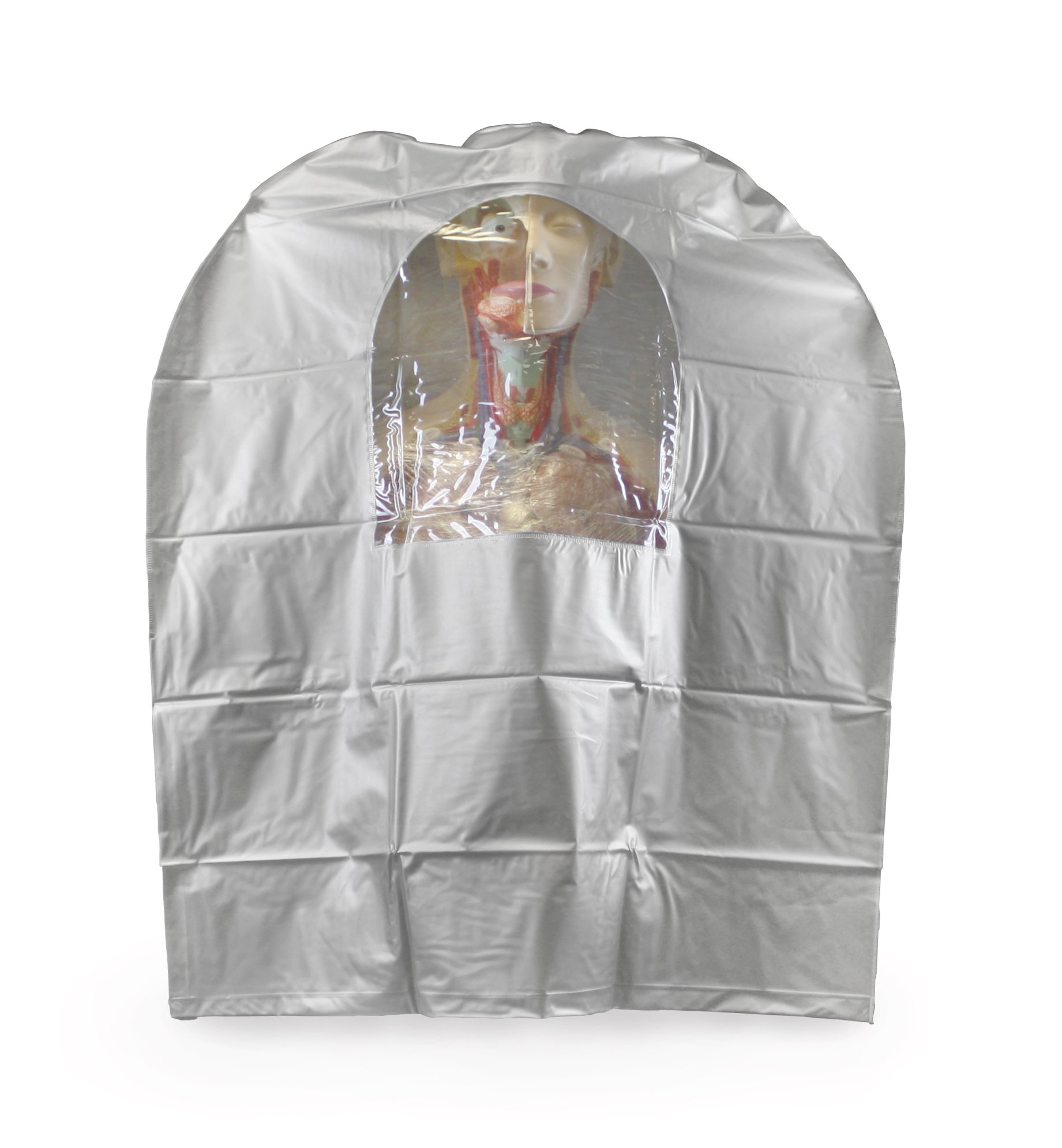 Vision Scientific VAT107-DC 17 Parts Sexless Human Torso | Open Back Exposes Muscular Layers, Vertebral Volume, Nerve Branches |Neck Dissected Shows Muscular, Neural, Vascular and Glandular Structure