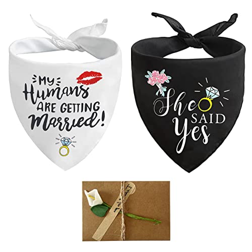 Engagement Gift, Dog Wedding Bandana, Wedding Engagement Bridal Shower Gift, Wedding Photo Prop, Pet Scarf, Dog Engagement Announcement, Pet Accessories