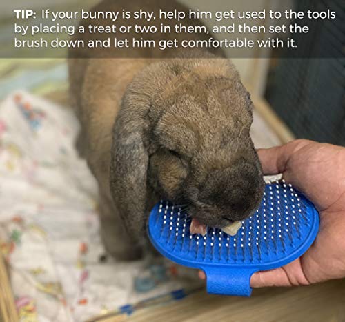 Rabbit Grooming Kit with Rabbit Grooming Brush - Rabbit Hair Brush and Rabbit Hair Remover- Bunny & Guinea Pig