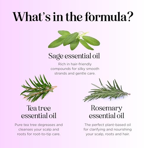 Maple Holistics Sage Shampoo for Dandruff, Oily Hair and Flaky Scalp, 10 OZ - Sulfate Free Volumizing Shampoo with Natural Ingredients, Essential Oil for Men and Women