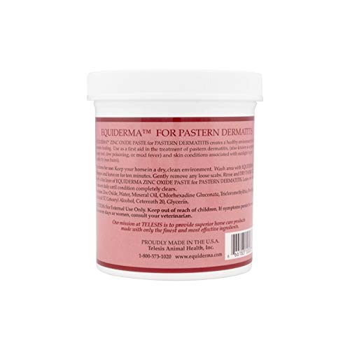 EQUIDERMA Zinc Paste