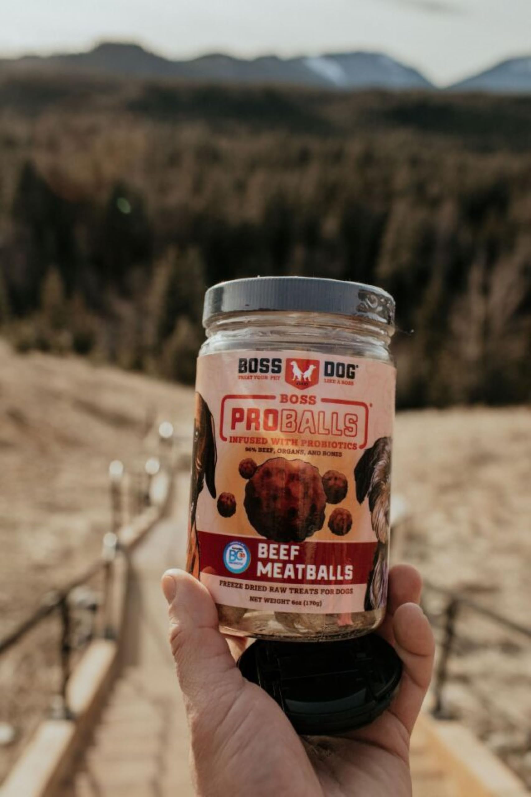Boss Dog Boss Proballs Meatball Treats for Dogs & Cat, Beef Recipe, 6 oz Jar